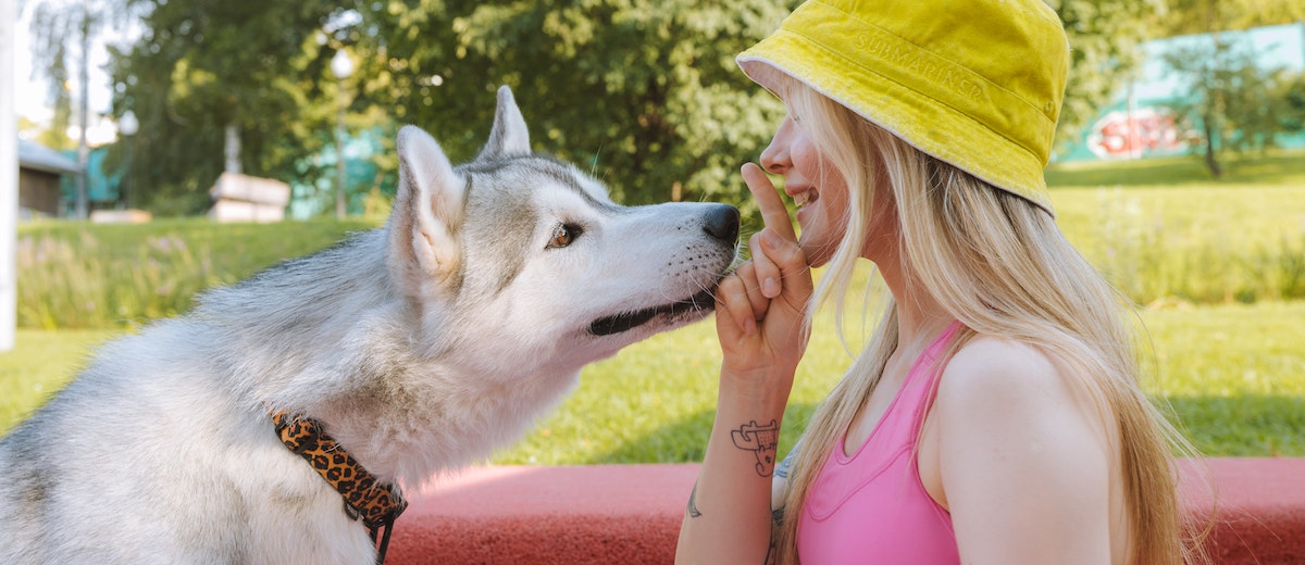 Discover Affordable Pet Insurance Cost in NZ | InsuranceList